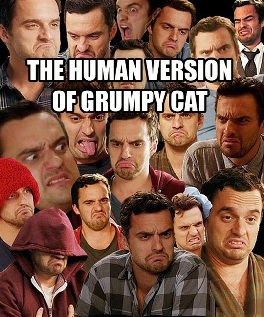 The Sweeney and the Human Manifestation of Grumpy Cat | Movies, Films ...
