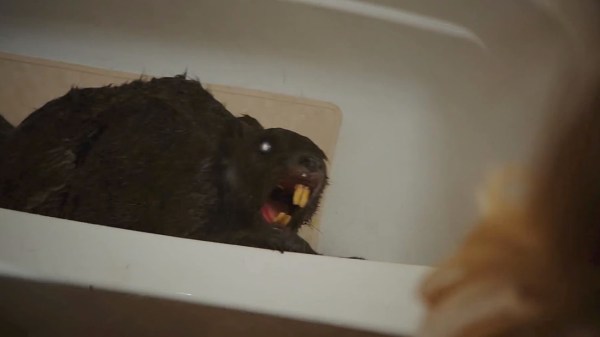 John’s Horror Corner: Zombeavers (2015), bringing us mutant rabid ...