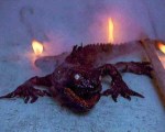 John’s Horror Corner: Aberration (1997), a surprisingly fun and gooey B ...