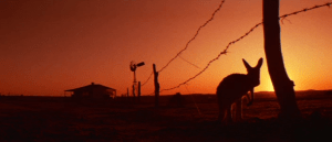 John’s Horror Corner: Razorback (1984), a nostalgic giant Australian ...