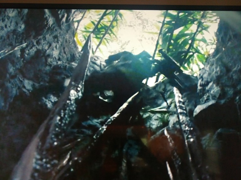 MFF Special: Analyzing the Unsuccessful and Unnecessarily Large Trap in ...