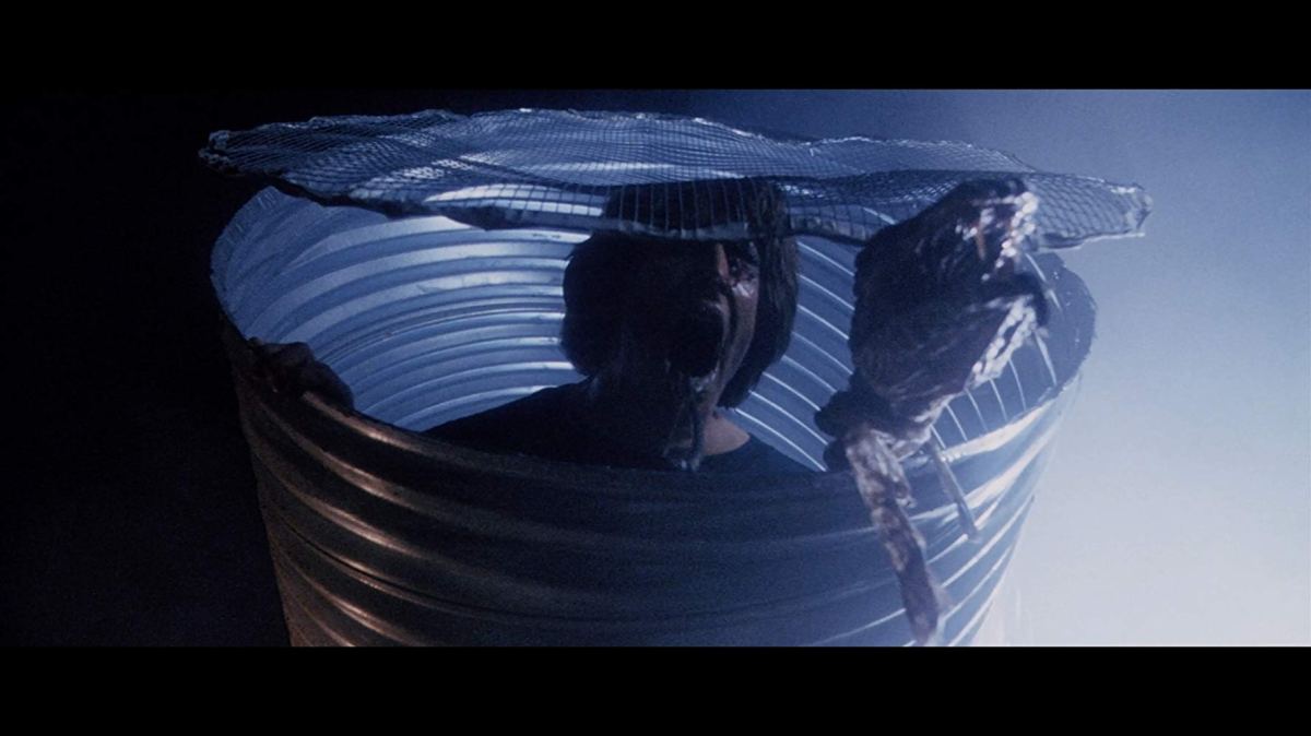 John’s Horror Corner: Curse II: The Bite (1989), a B-movie about a ...