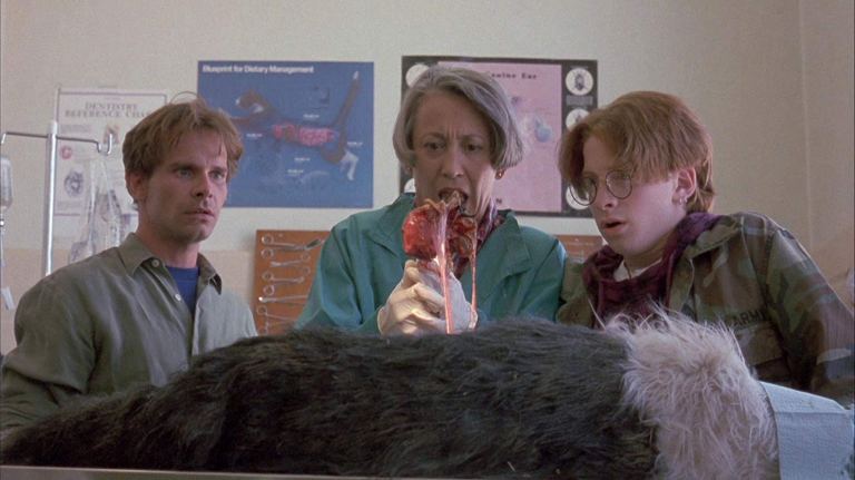 John’s Horror Corner: Ticks (1993), the EXCELLENT gory giant bug B ...