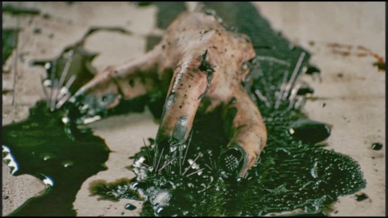 John’s Horror Corner: Splinter (2008), delivering twitchy plant zombies ...