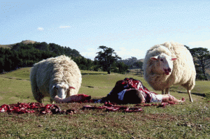 John’s Horror Corner: Black Sheep (2006), a goretastic New Zealand ...
