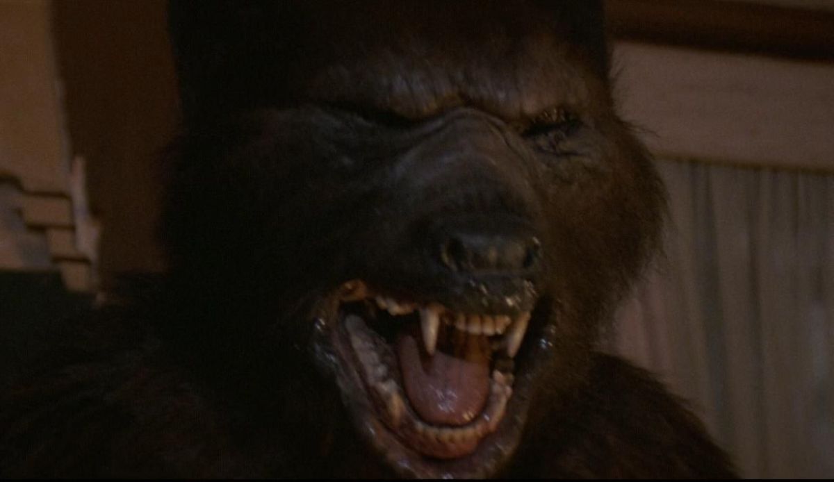John’s Horror Corner: Silver Bullet (1985), Stephen King’s horror-LITE ...
